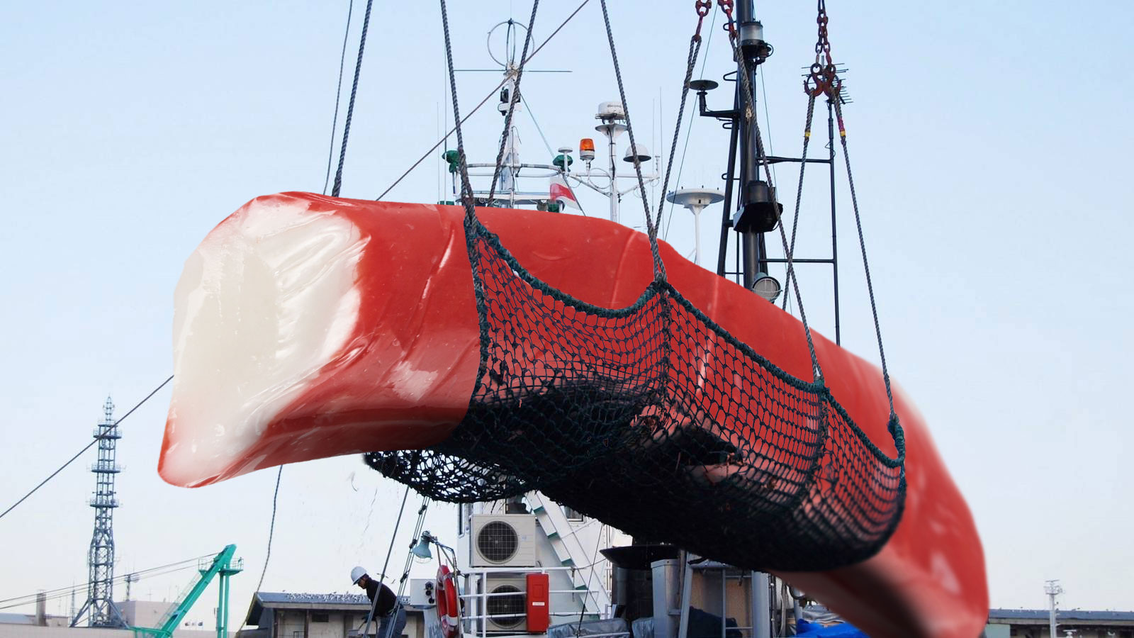 Krissia Logra Capturar Un Surimi De Casi 40 Toneladas El Mundo Today