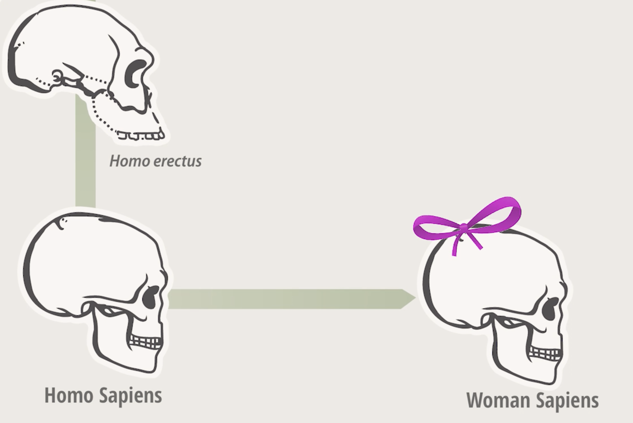 Los Hitos De La Lucha Feminista El Mundo Today 