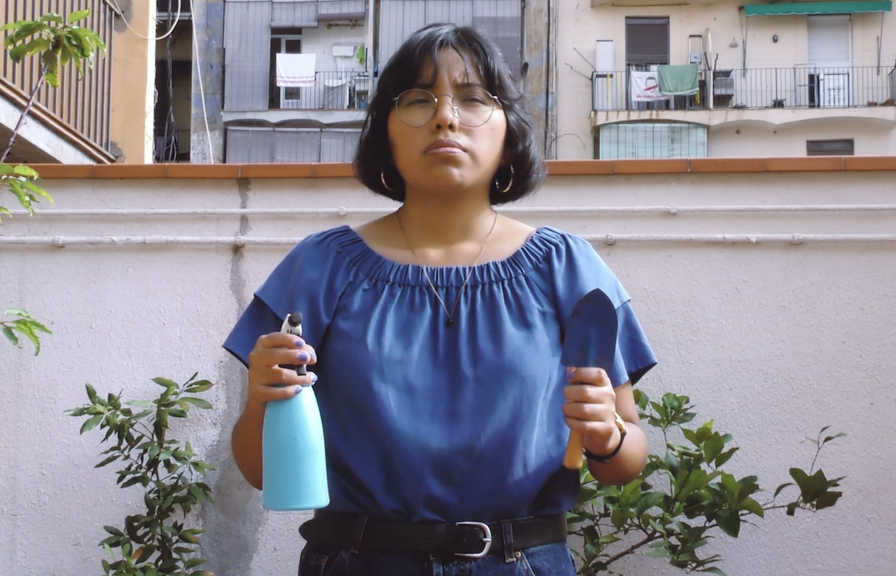 Cómo Cuidar De Tus Plantas Correctamente El Mundo Today