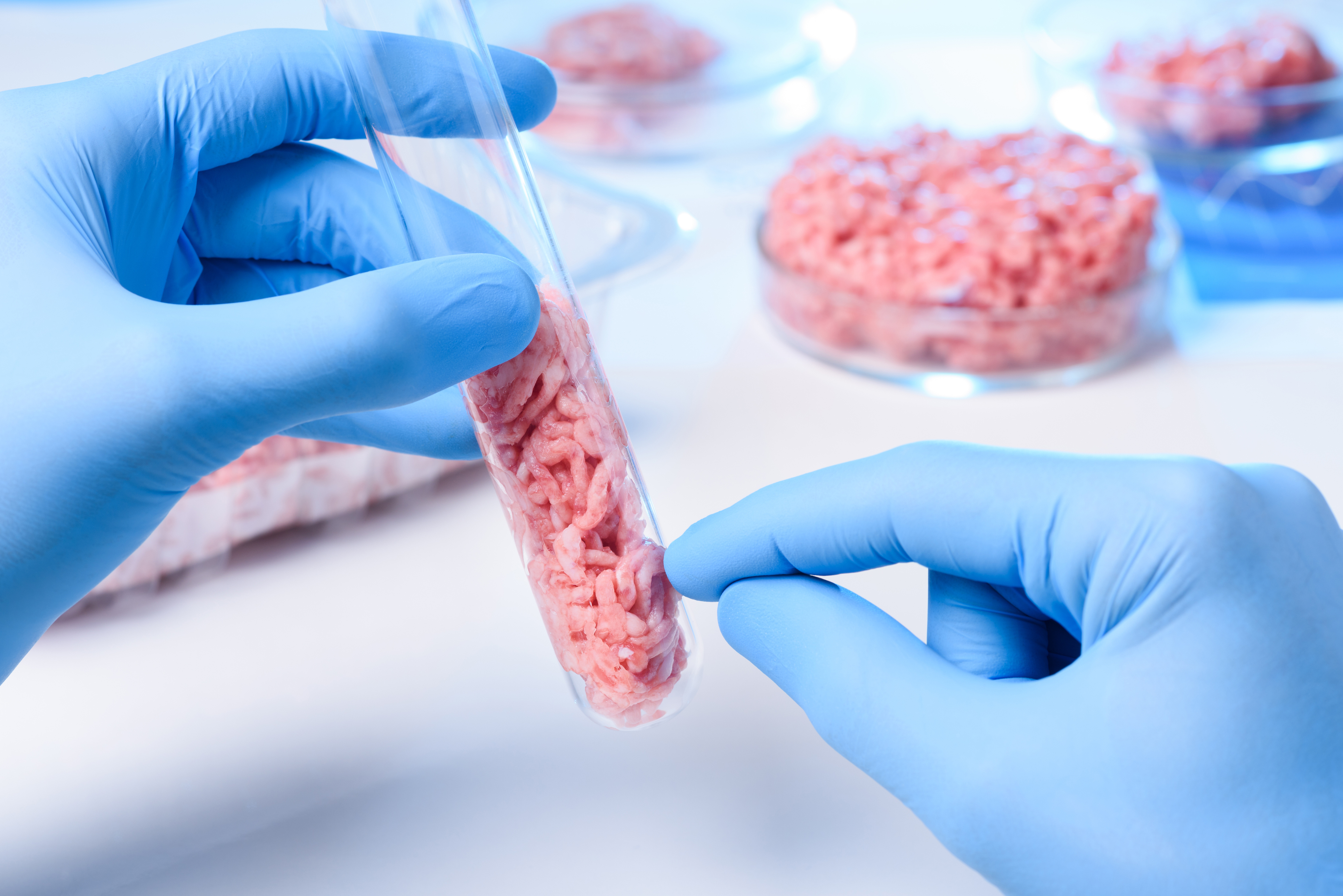 Unos científicos logran producir carne humana artificial que sabe casi ...