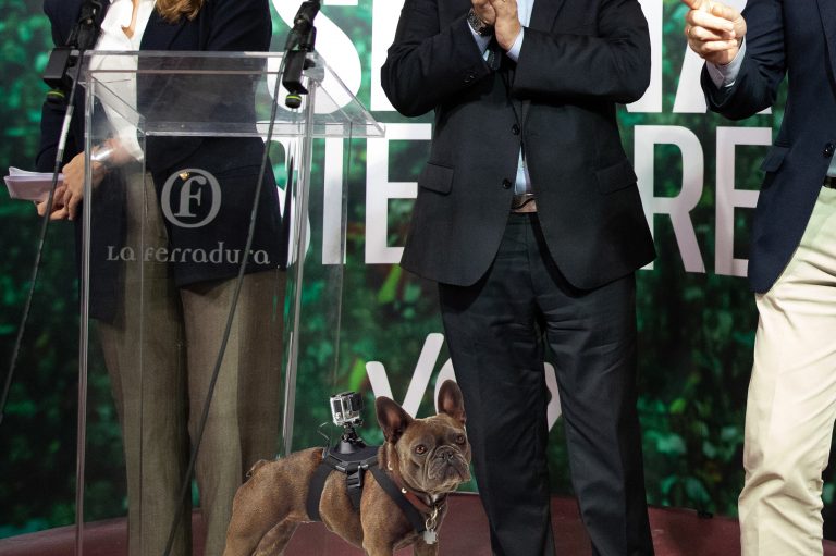 Un perro con una GoPro es, en estos momentos, el único periodista ...