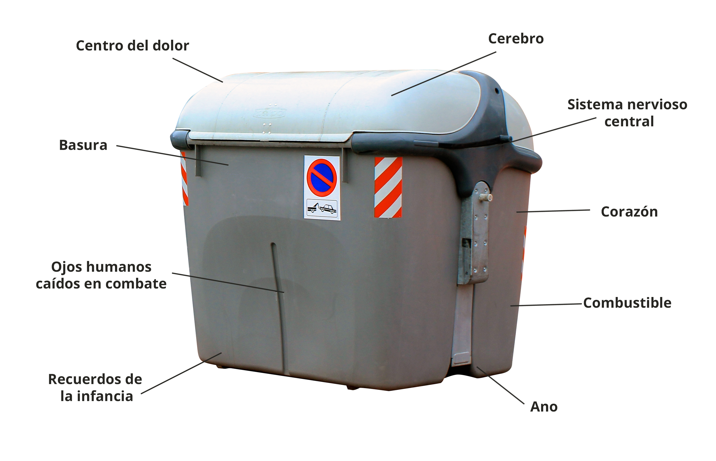 Así es un contenedor por dentro | El Mundo Today