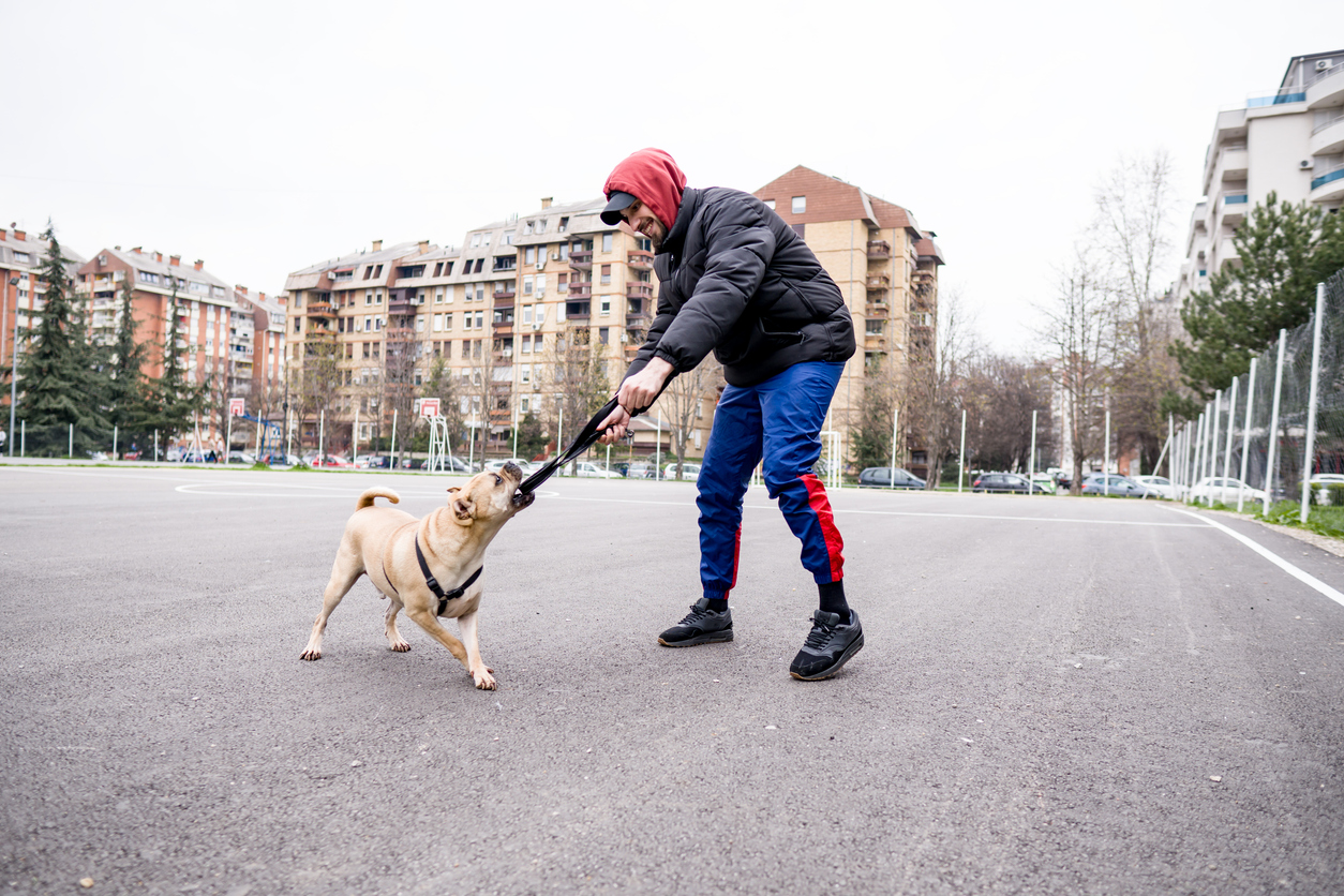 «Muerde y duele bastante, pero luego se pasa», dice el dueño honesto de ...